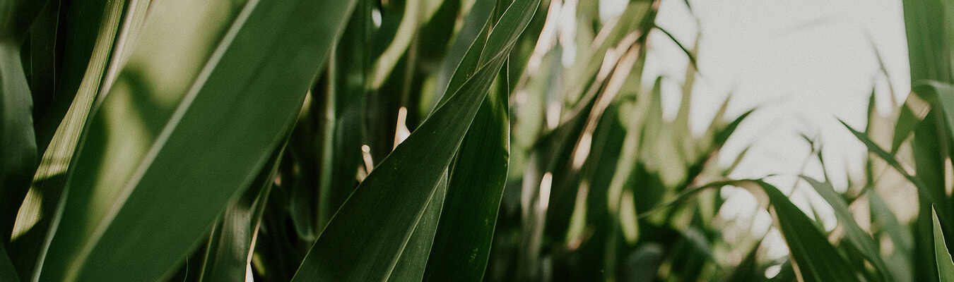 Products We Carry | Alliance Tractor & Implement Co. New Holland Dealer ...